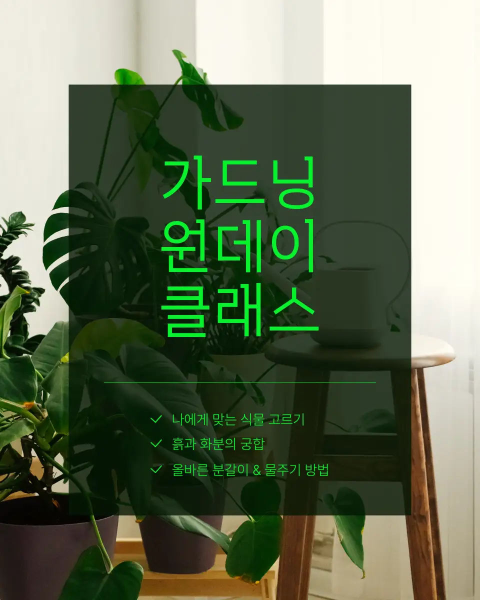 Adobe Express로 제작