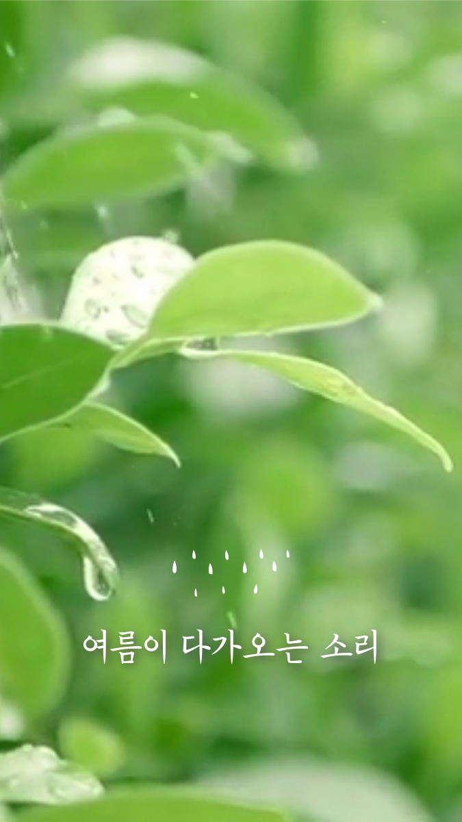 Adobe Express로 제작